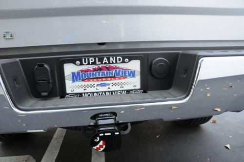What is that lock to the right of the license plate? - 2014-2018 ...